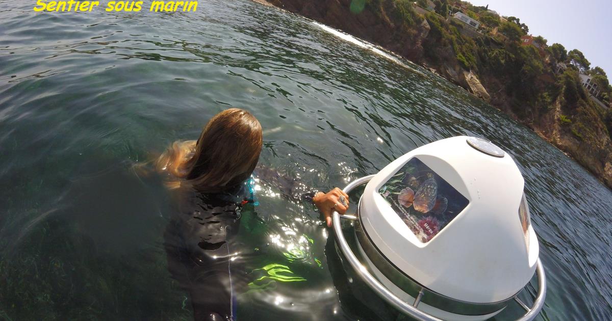 Underwater path of Baie de la Garonne | Le Pradet | Provence Méditerranée