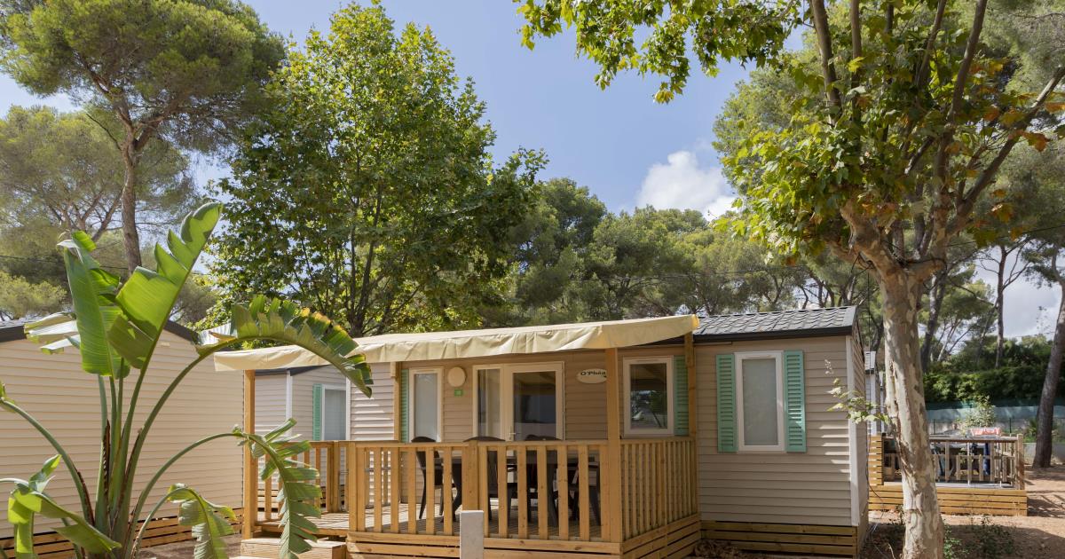 Camping Les Pins | La Seyne-sur-Mer | Provence Méditerranée