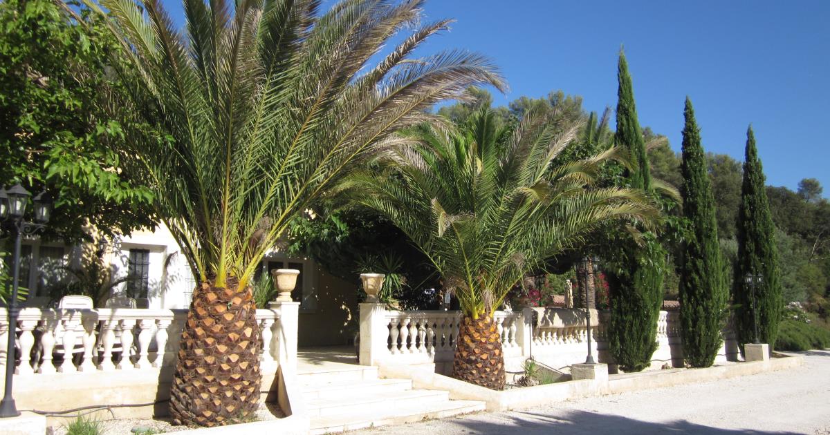 Le Verger de Sauvebonne | Hyères | Provence Méditerranée