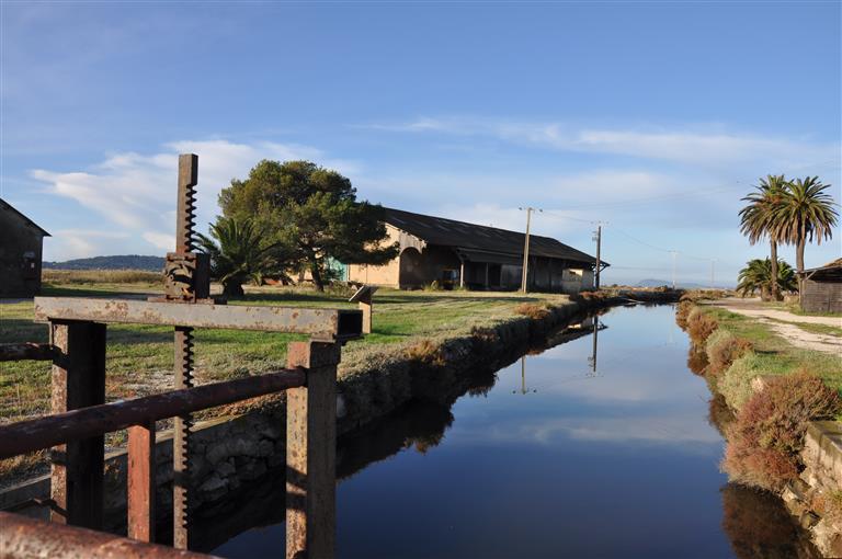 Visite guidée : Histoire du sel | Hyères | Provence Méditerranée