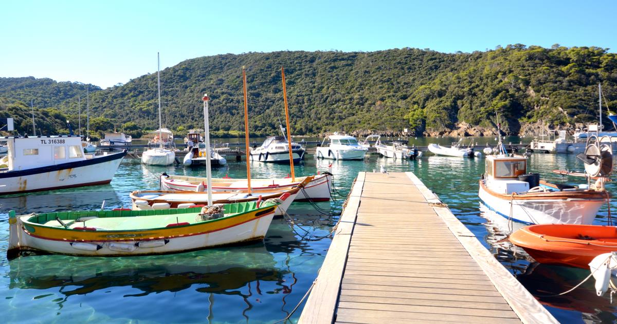 Port-Cros island | Hyères | Provence Méditerranée