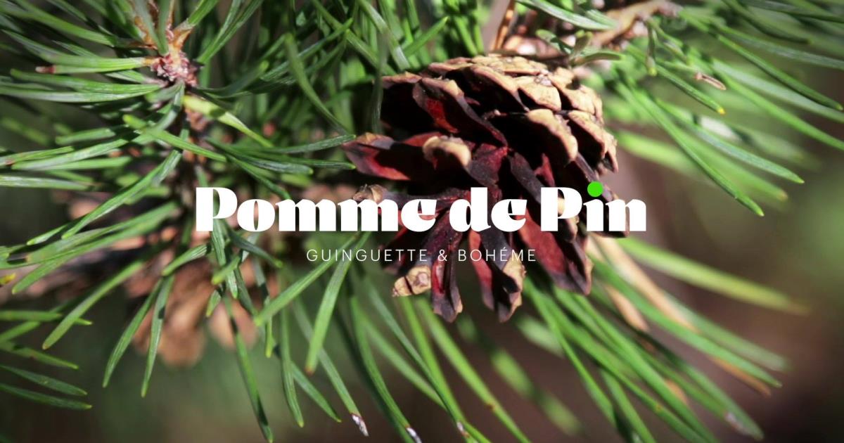 Pomme de pin | Hyères | Provence Méditerranée